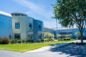 About The Janus School | The Janus School