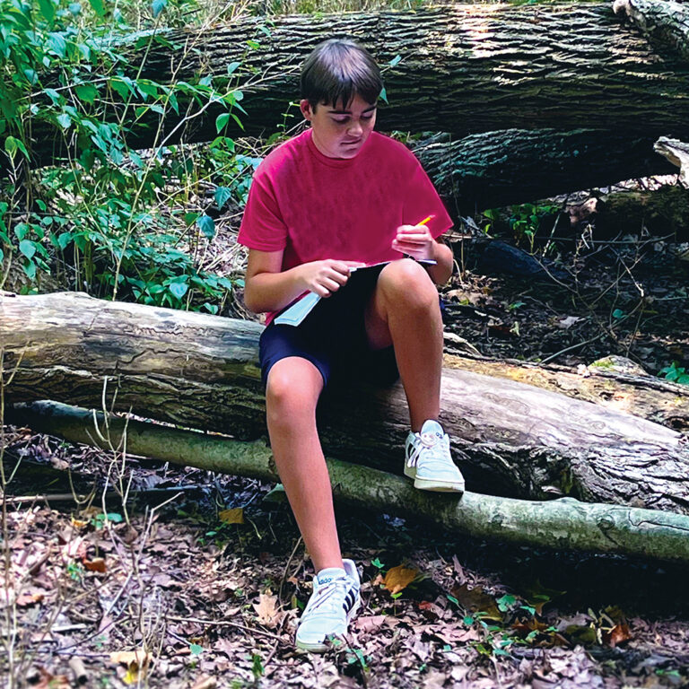 A Janus Perspective on the Transformative Power of Nature in Education ...